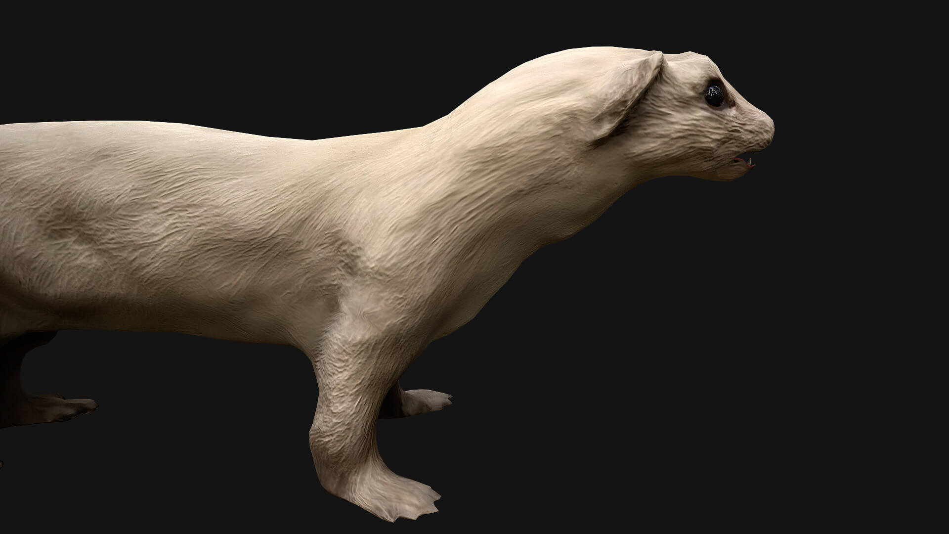 Weasel Ermine - 3D Model by Dereza