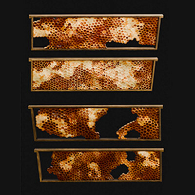 Honeycomb Frames - 3D Model by Desertsage