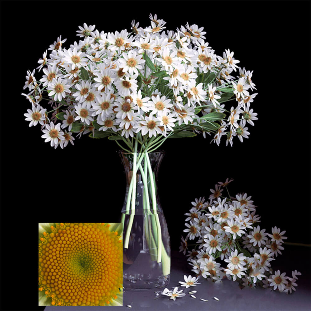 Flower-Chamomile-Flower in Vases 3D Model by Designby3D