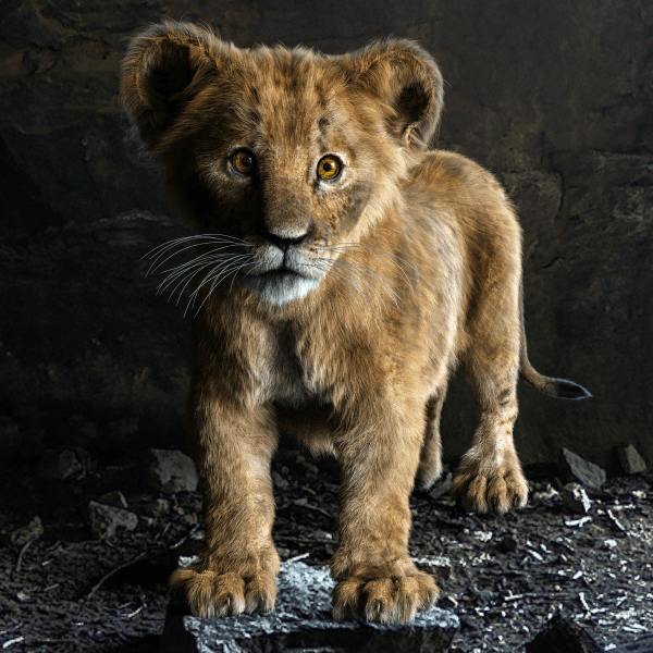 3D Art Gallery by DEVIANT at RenderHub