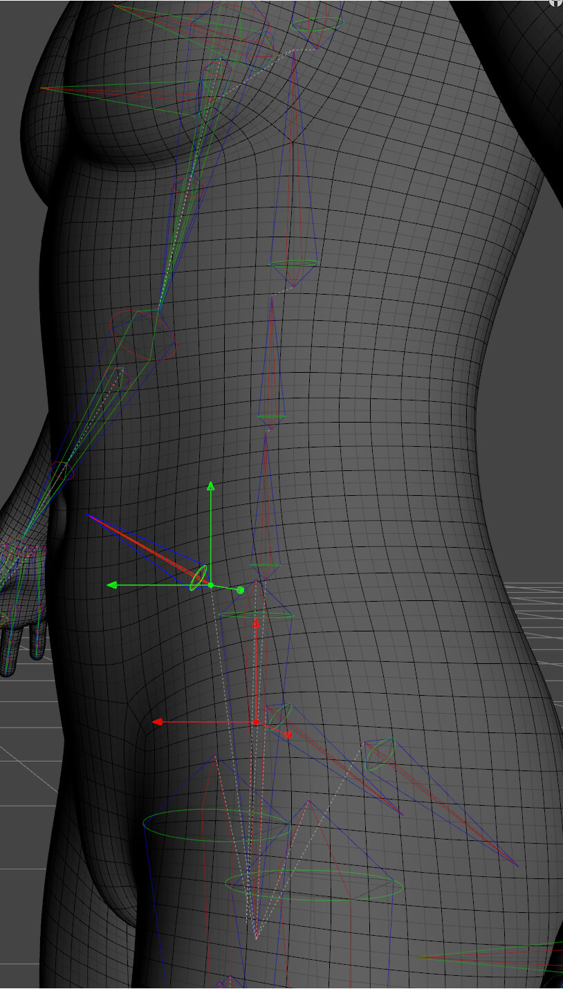Genesis 9 Skeleton With Glute, Belly, and Thigh Bones - Daz Content by deviceful