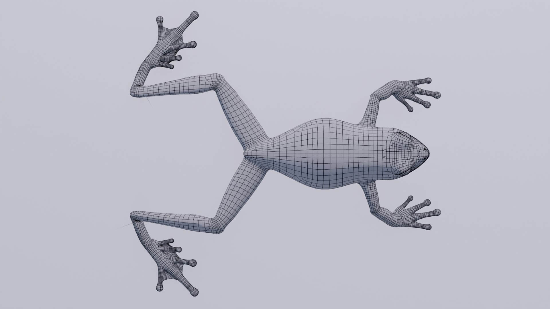 Animated American Green Tree Frog - 3D Model by Dibia Digital