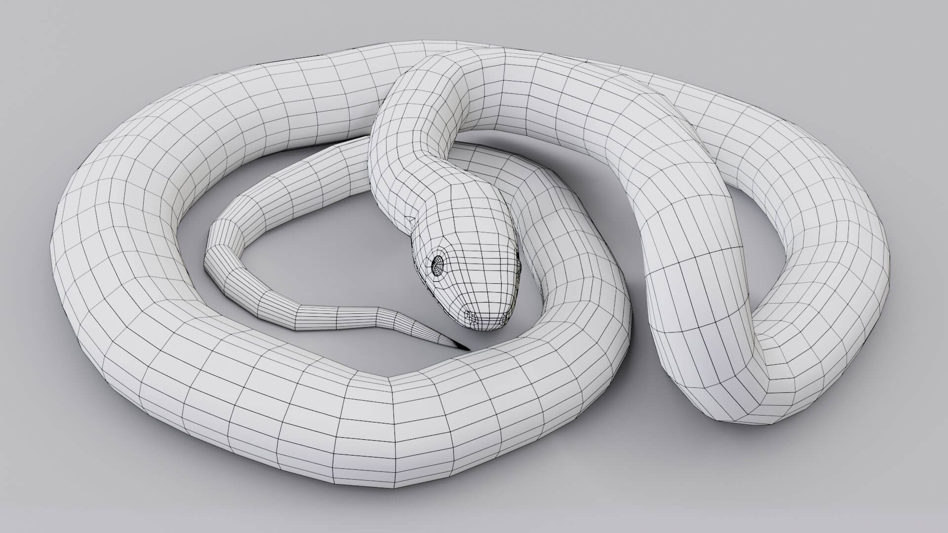 Animated Black Mamba - 3D Model by Dibia Digital