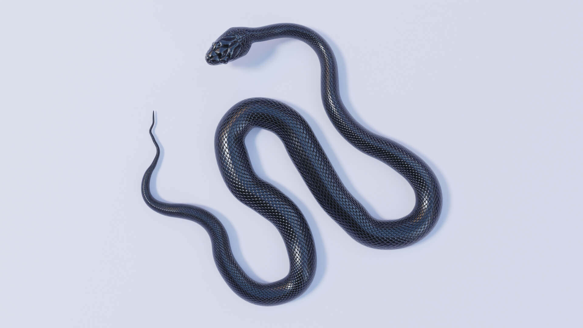Animated Black Rat Snake - 3D Model by Dibia Digital