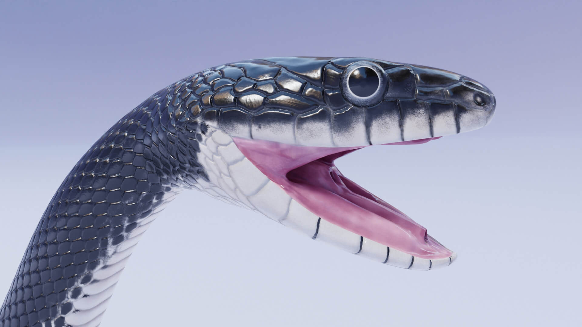 Animated Black Rat Snake - 3D Model by Dibia Digital