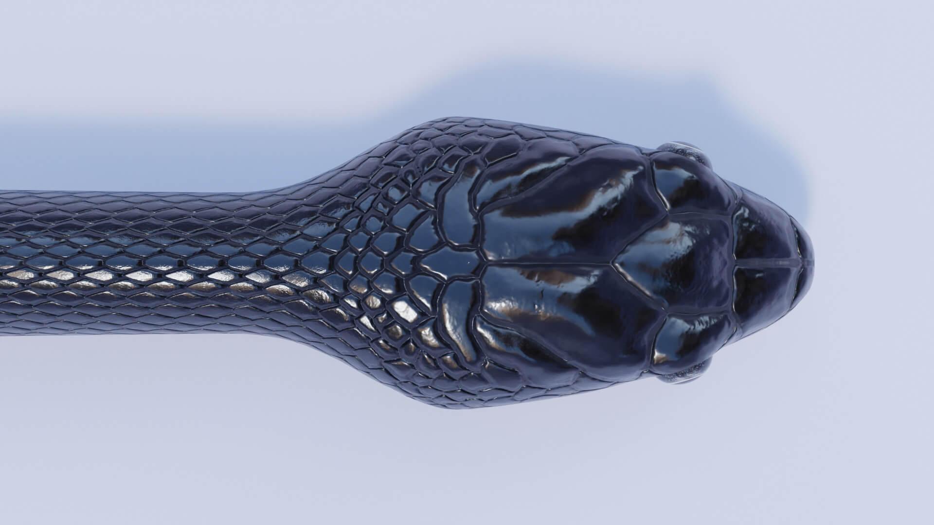 Animated Black Rat Snake - 3D Model by Dibia Digital