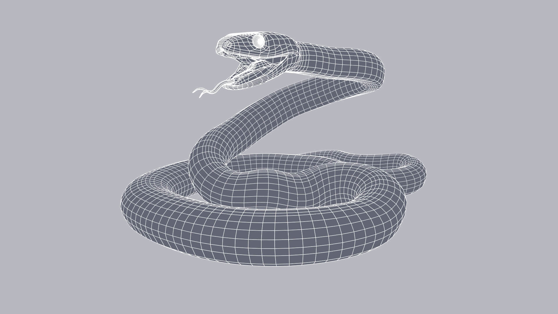 Animated Black Rat Snake - 3D Model by Dibia Digital