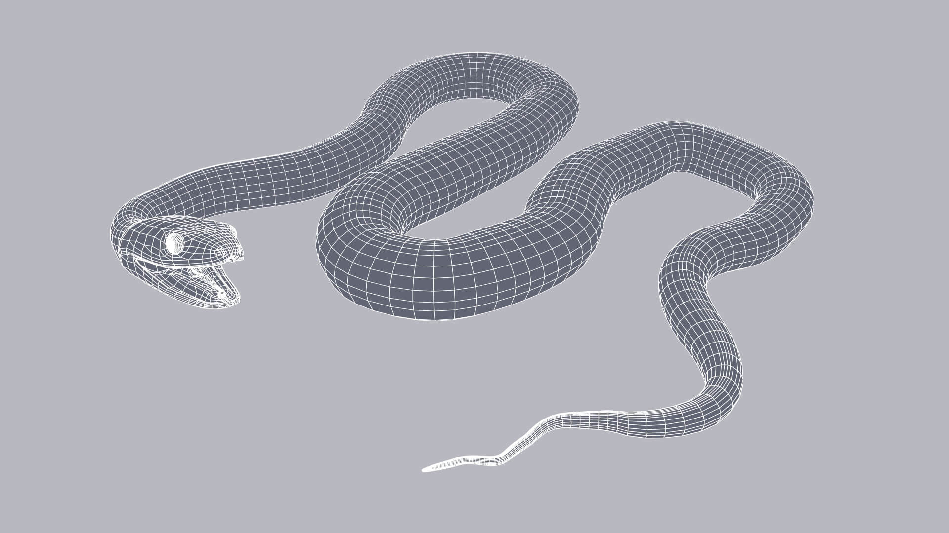 Animated Black Rat Snake - 3D Model by Dibia Digital