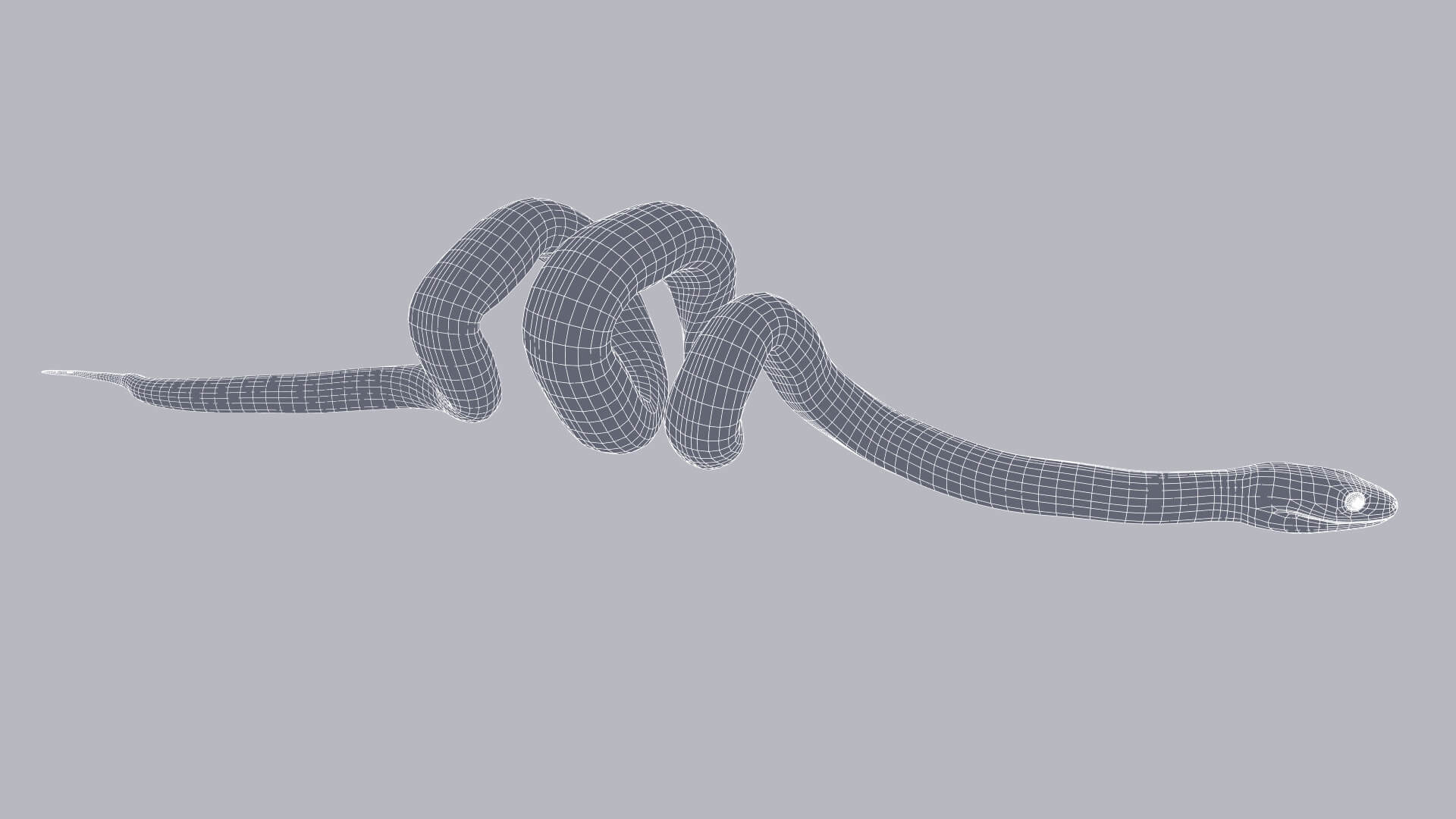Animated Black Rat Snake - 3D Model by Dibia Digital