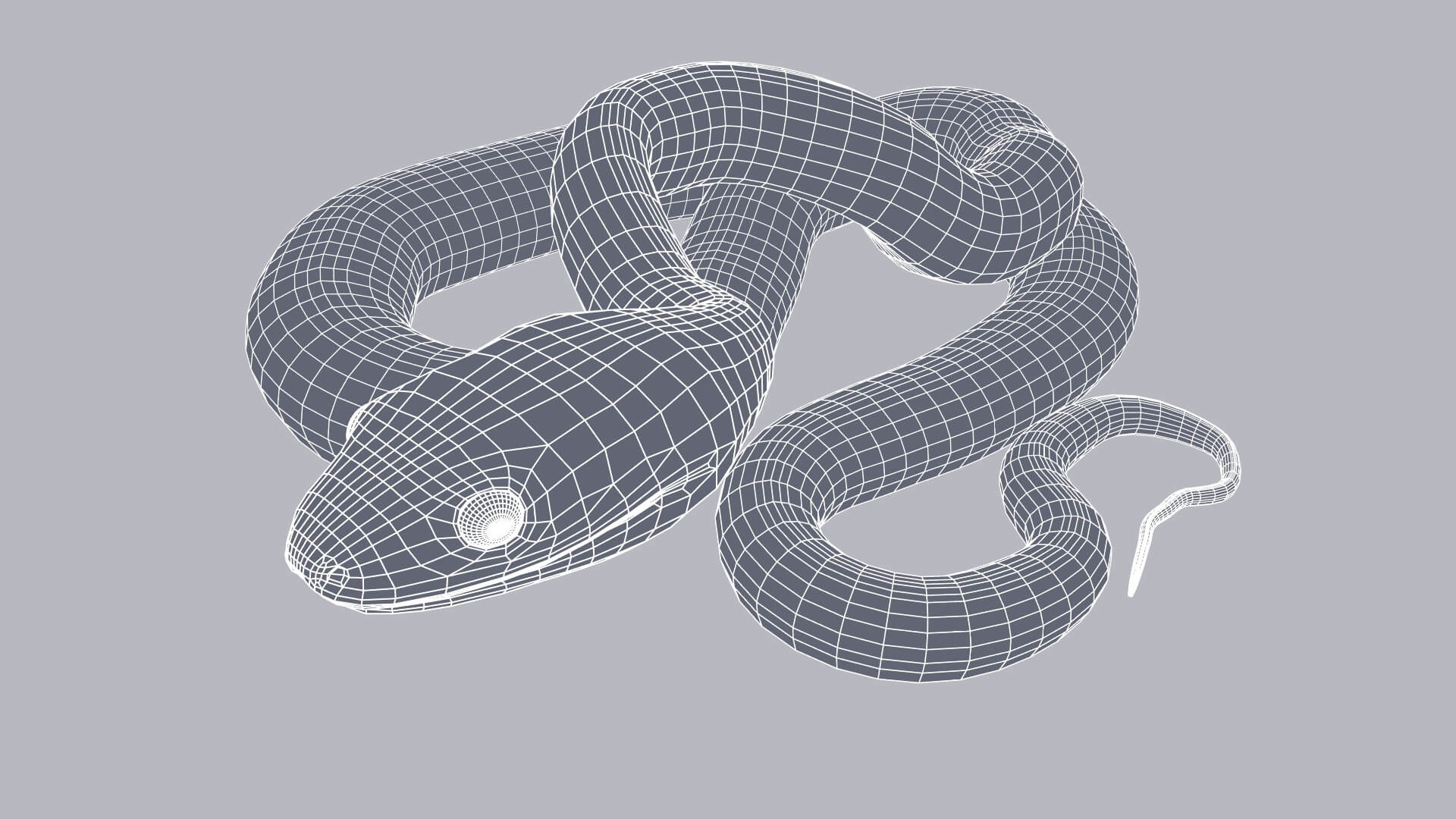 Animated Black Rat Snake - 3D Model by Dibia Digital