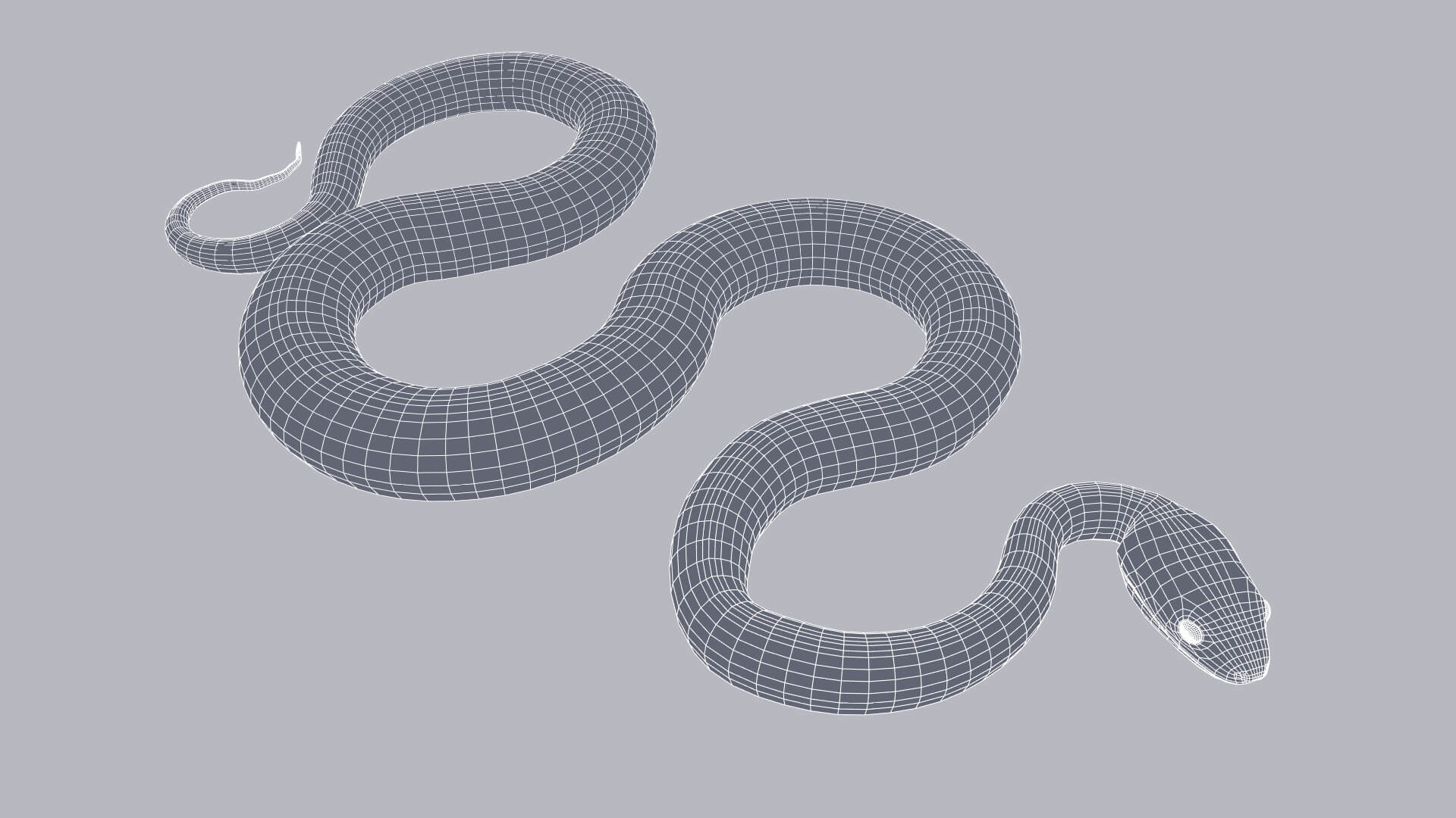 Animated Black Rat Snake - 3D Model by Dibia Digital