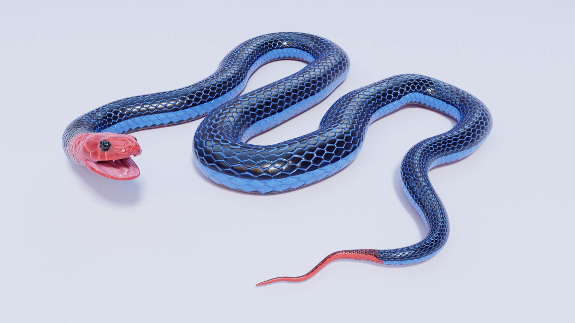 Animated Blue Coral Snake - 3D Model by Dibia Digital