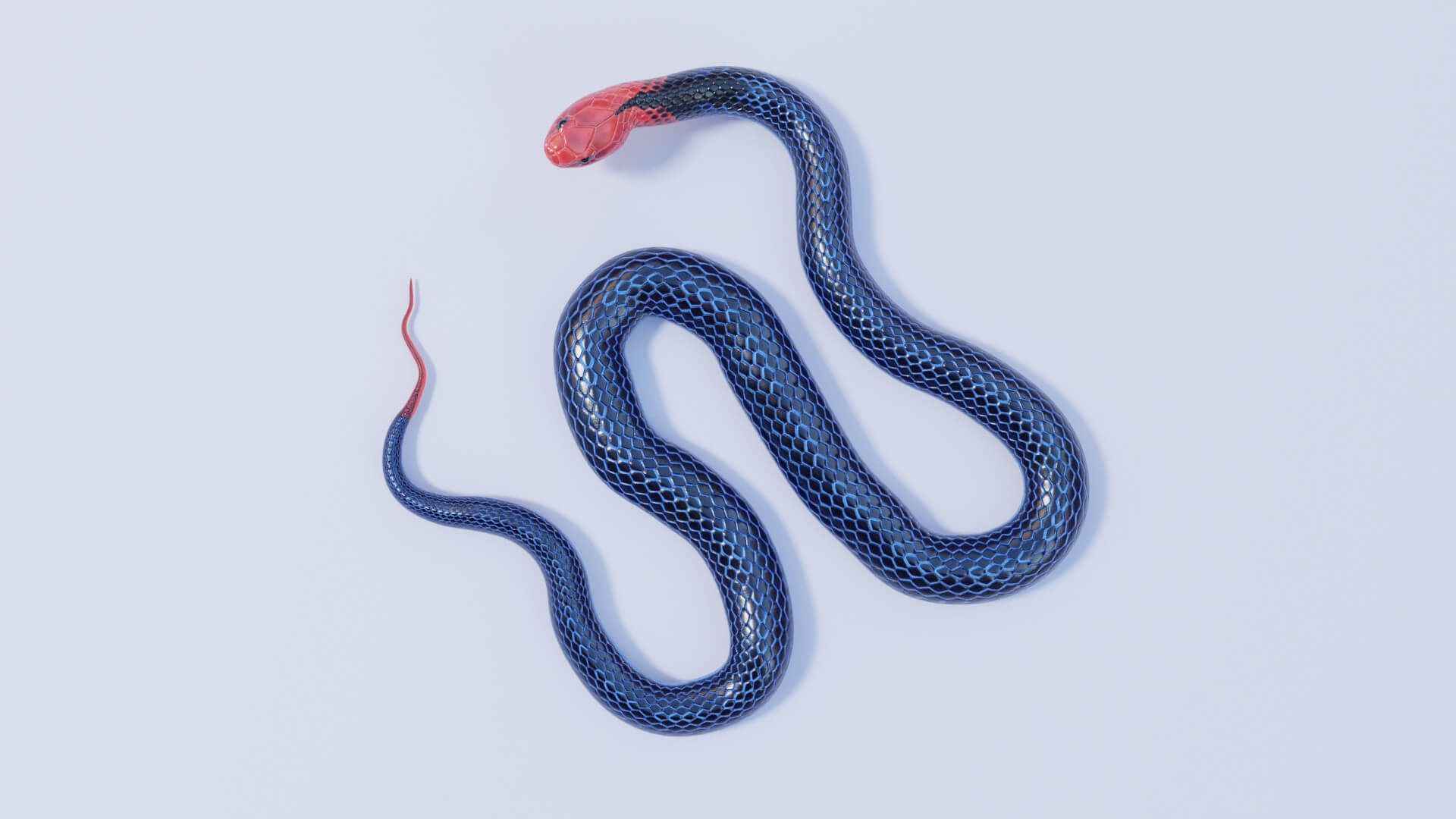 Animated Blue Coral Snake - 3D Model by Dibia Digital