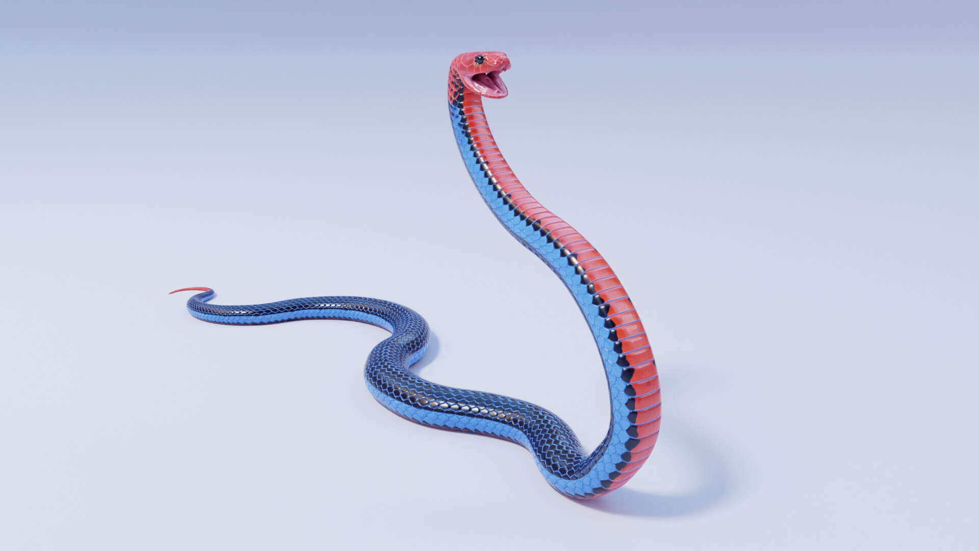 Animated Blue Coral Snake - 3D Model by Dibia Digital