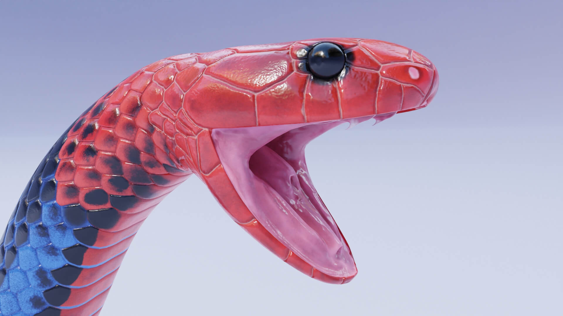 Animated Blue Coral Snake - 3D Model by Dibia Digital