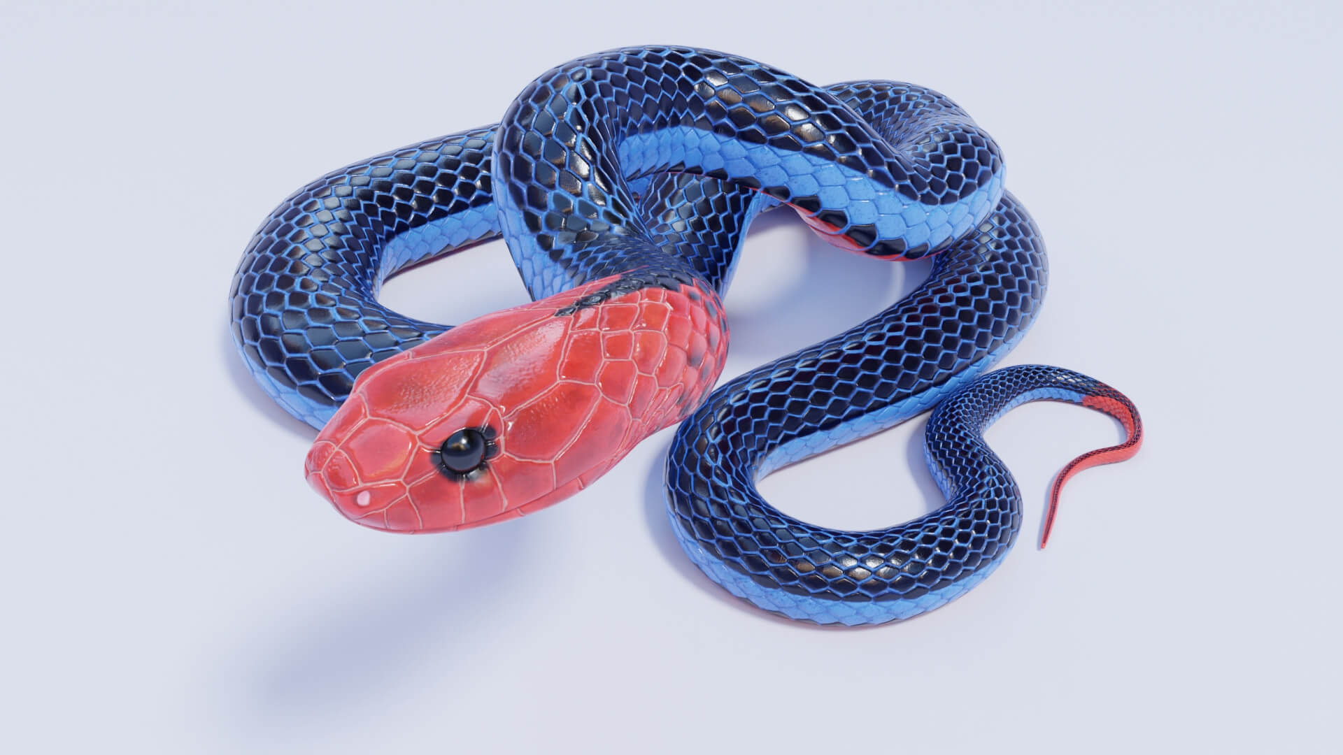 Animated Blue Coral Snake - 3D Model by Dibia Digital