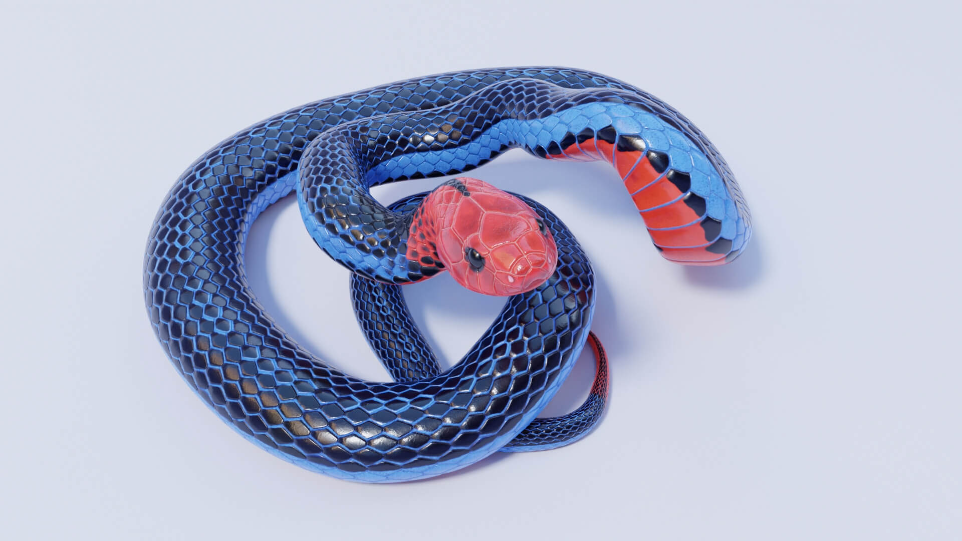 Animated Blue Coral Snake - 3D Model by Dibia Digital