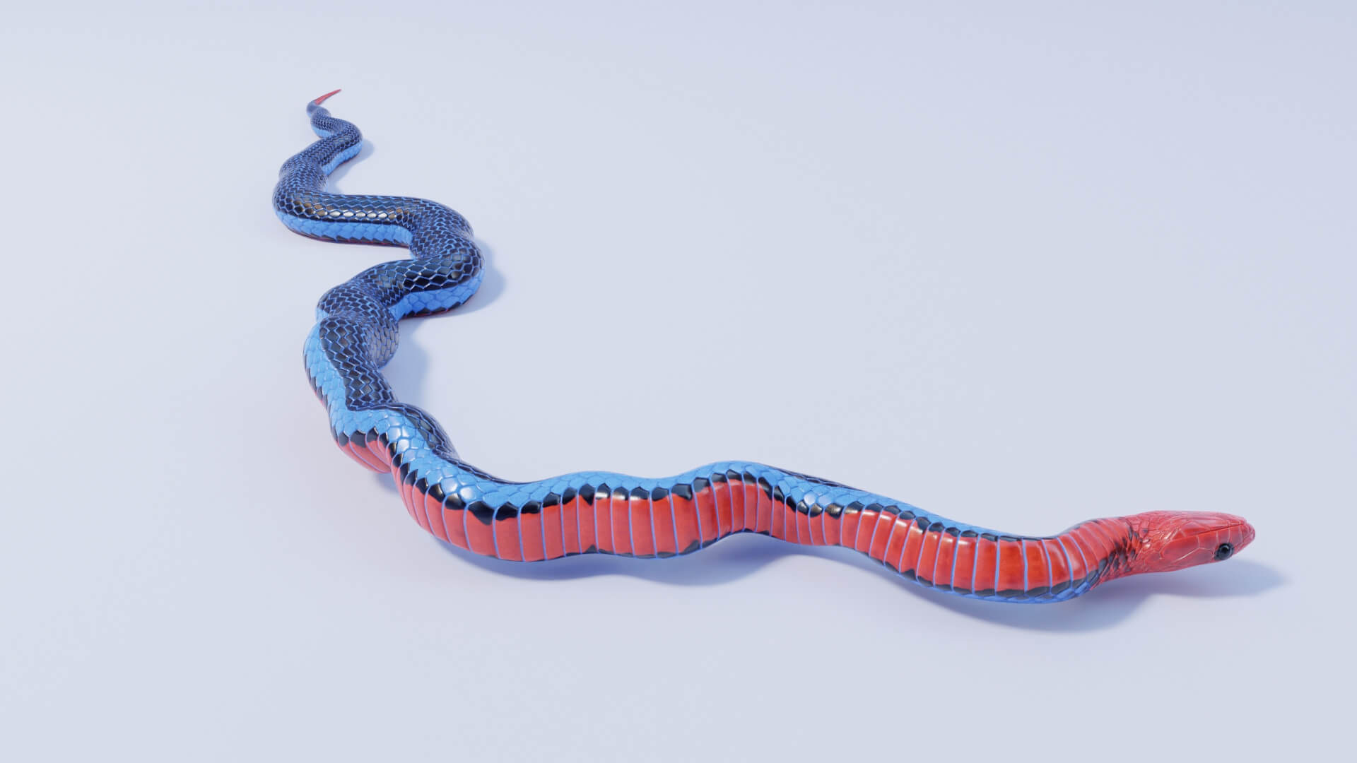 Animated Blue Coral Snake - 3D Model by Dibia Digital