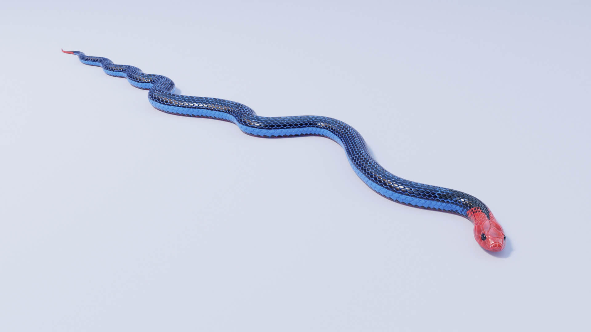 Animated Blue Coral Snake - 3D Model by Dibia Digital