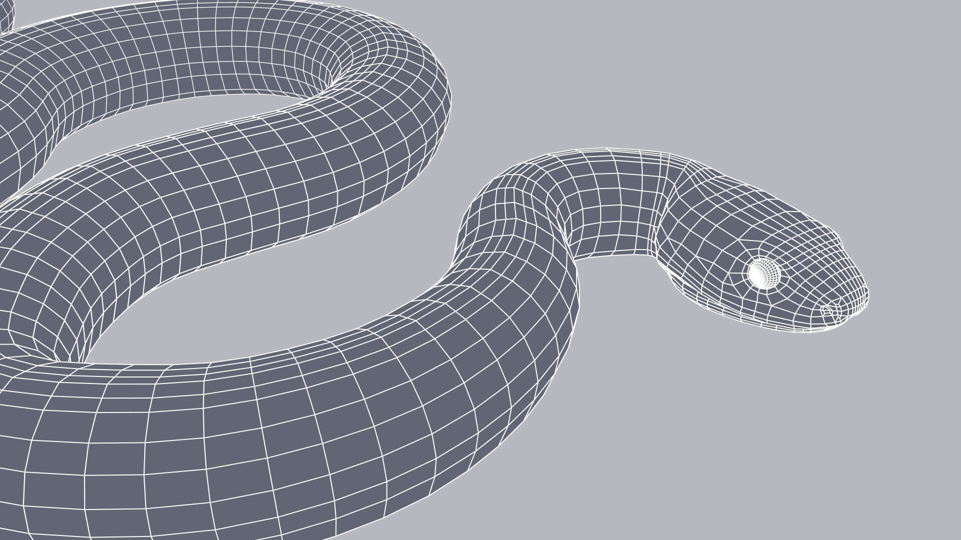 Animated Blue Coral Snake - 3D Model by Dibia Digital