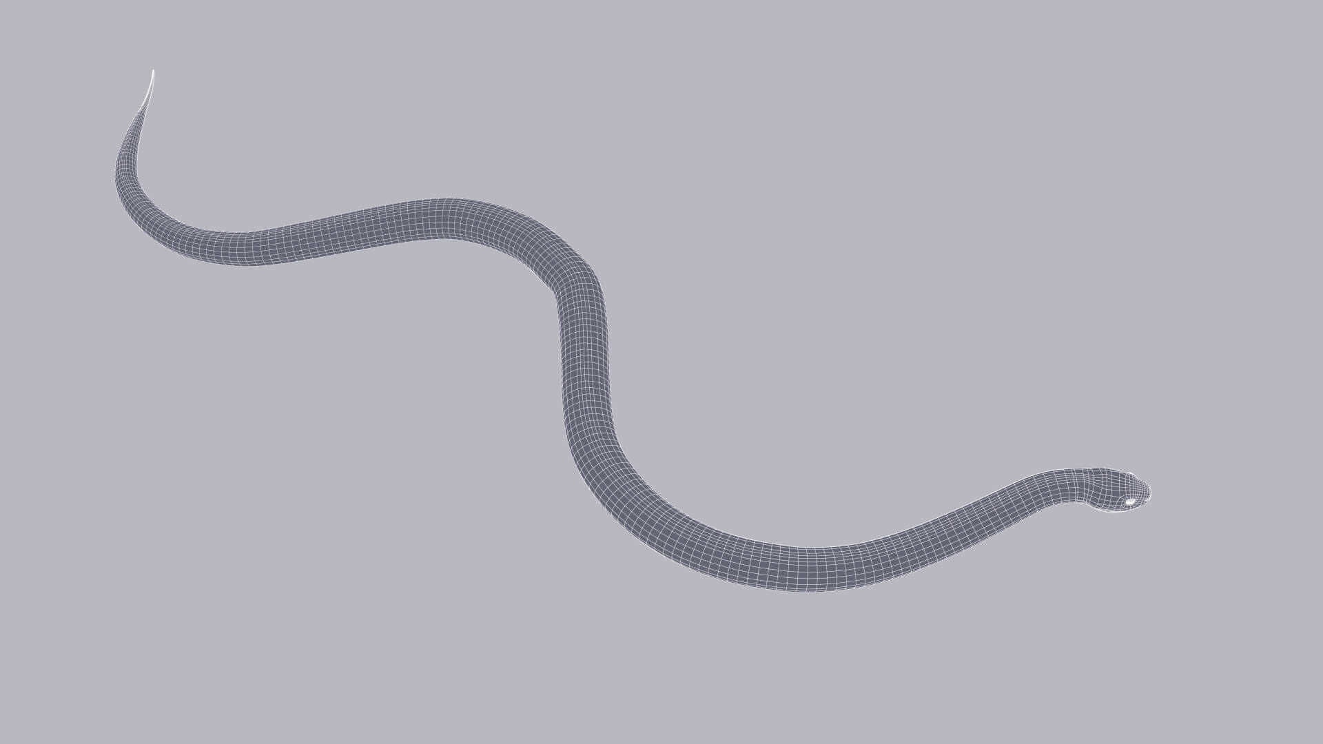 Animated Blue Coral Snake - 3D Model by Dibia Digital