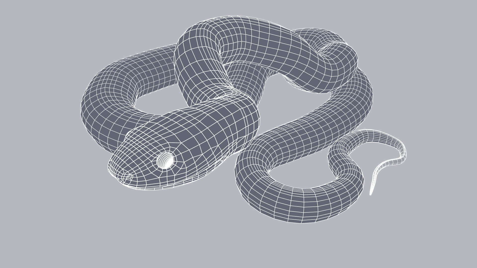 Animated Blue Coral Snake - 3D Model by Dibia Digital