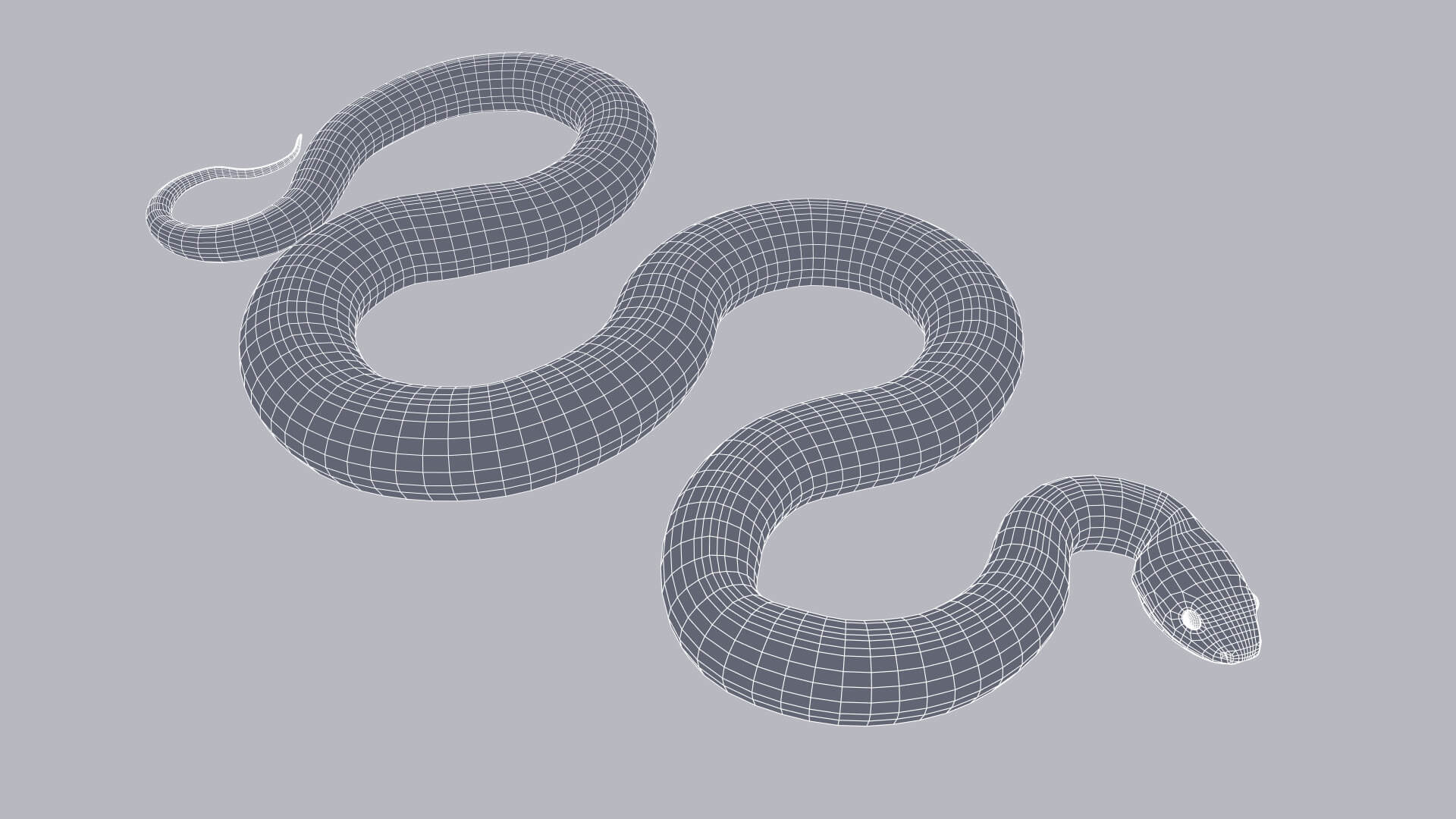 Animated Blue Coral Snake - 3D Model by Dibia Digital