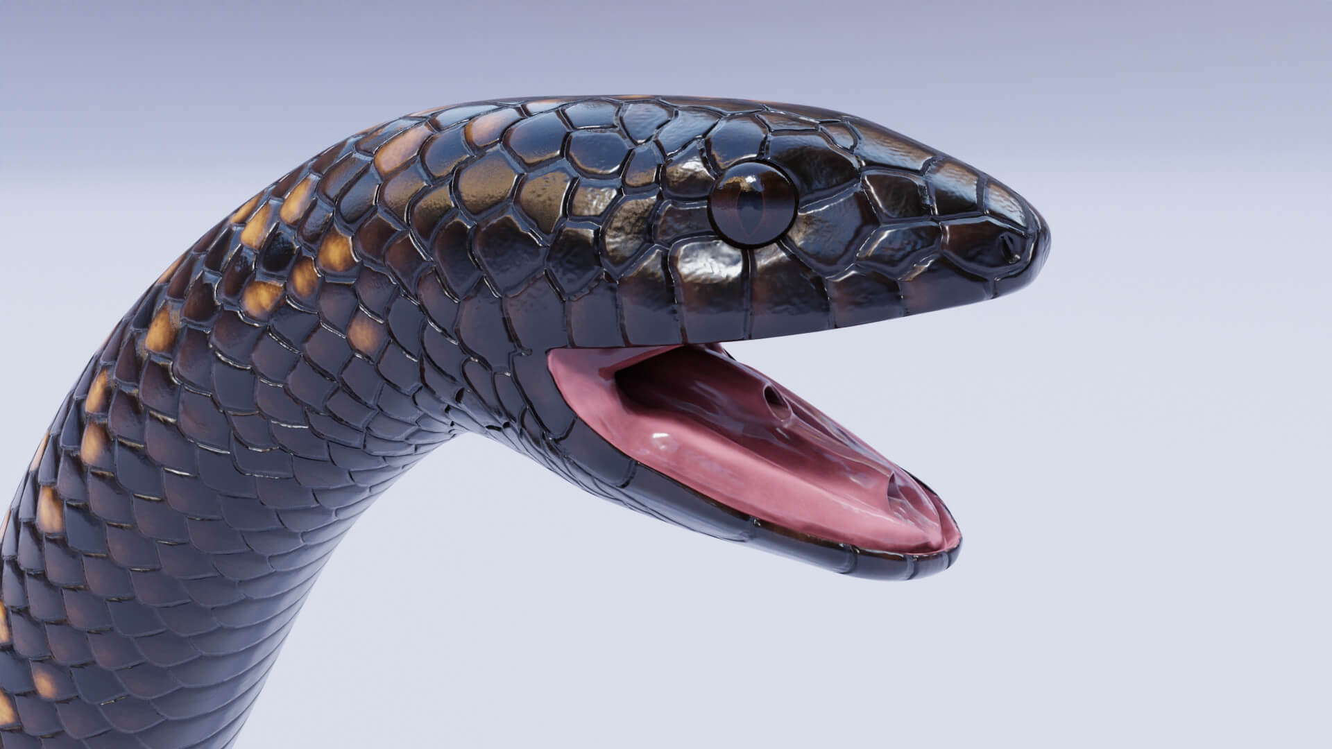Animated Calabar Python - 3D Model by Dibia Digital