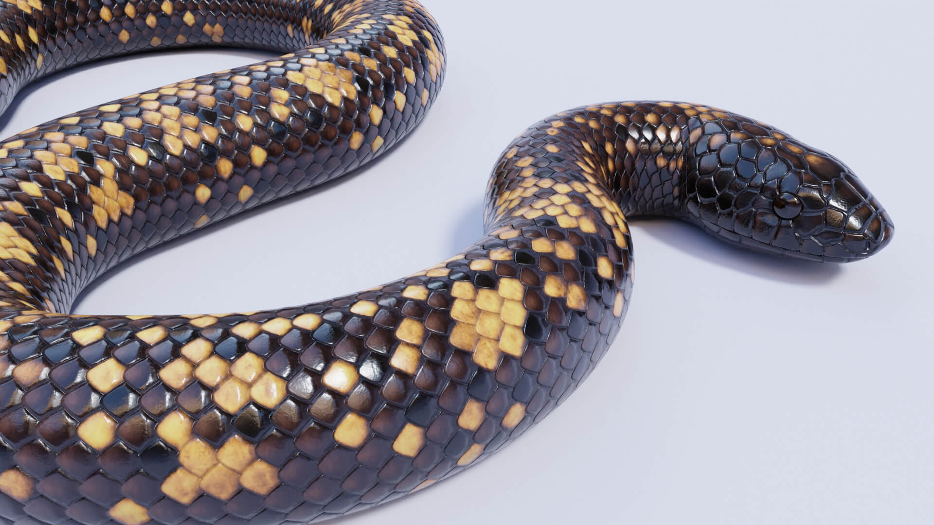 Animated Calabar Python - 3D Model by Dibia Digital