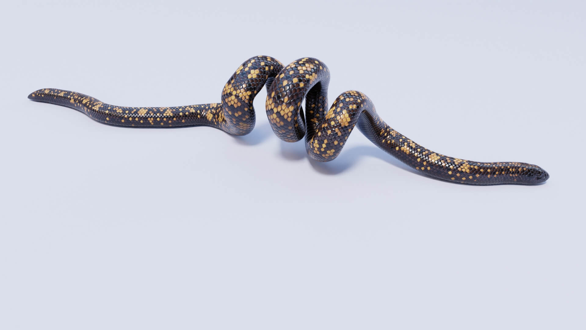 Animated Calabar Python - 3D Model by Dibia Digital