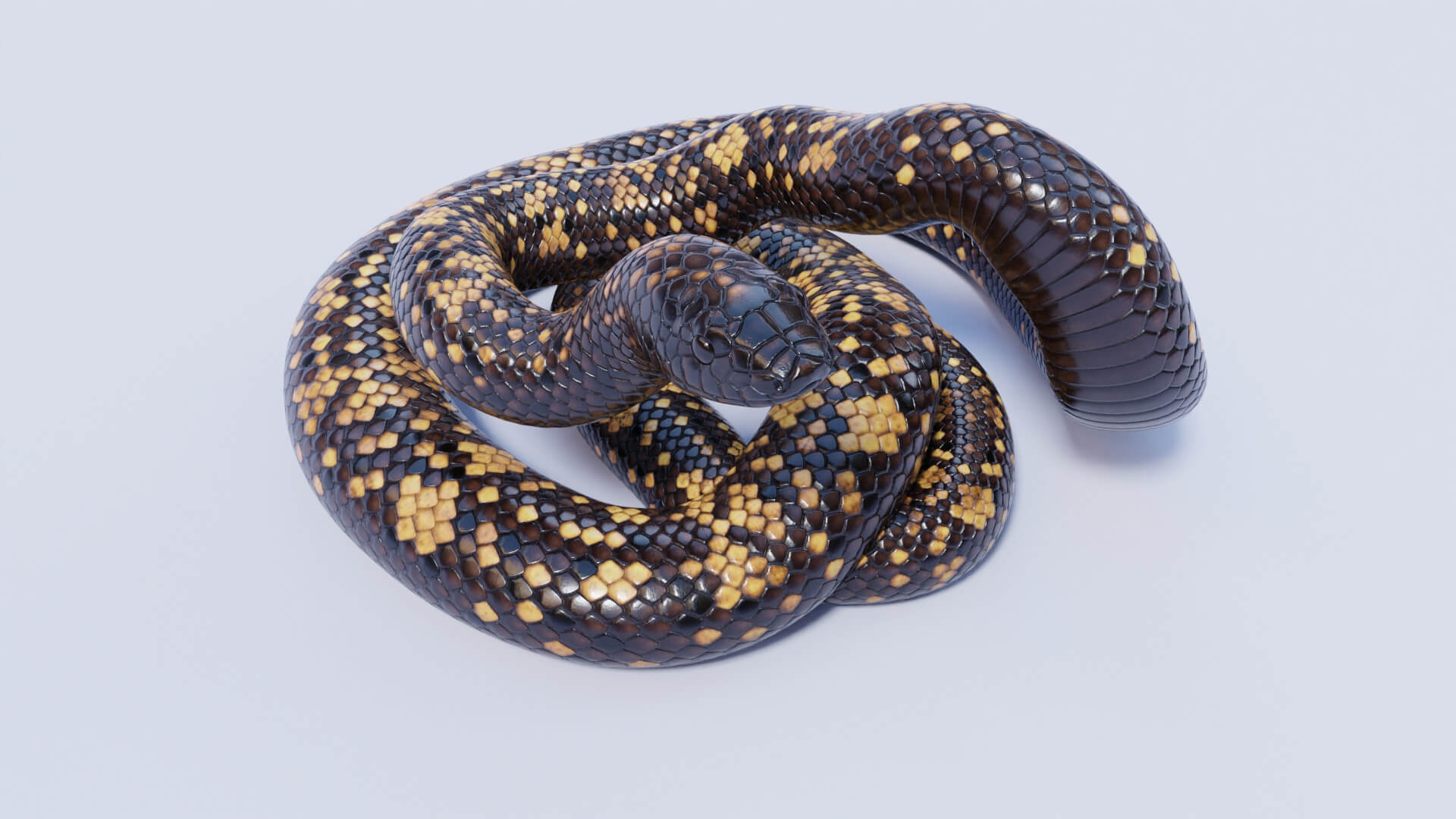 Animated Calabar Python - 3D Model by Dibia Digital