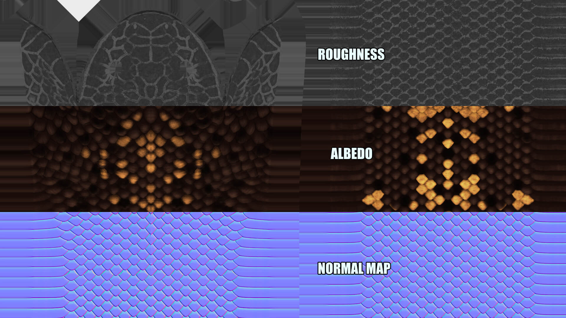 Animated Calabar Python - 3D Model by Dibia Digital