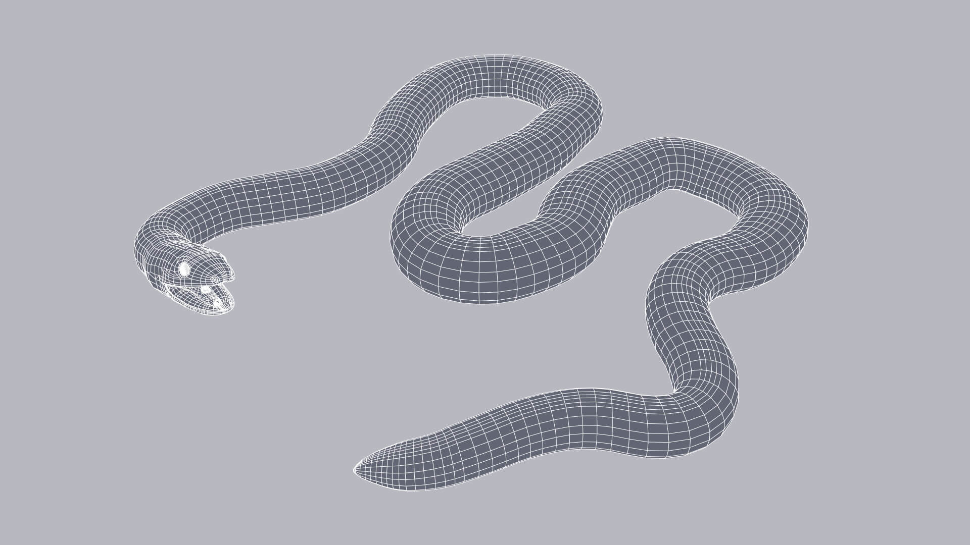 Animated Calabar Python - 3D Model by Dibia Digital