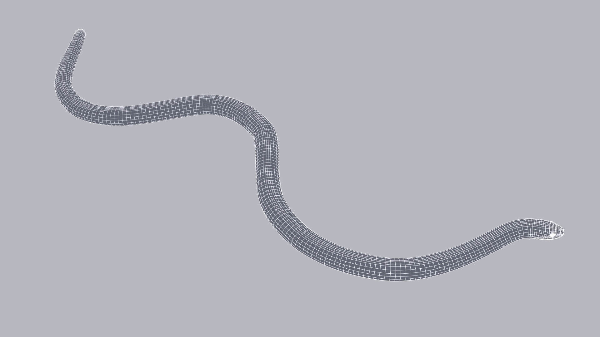 Animated Calabar Python - 3D Model by Dibia Digital