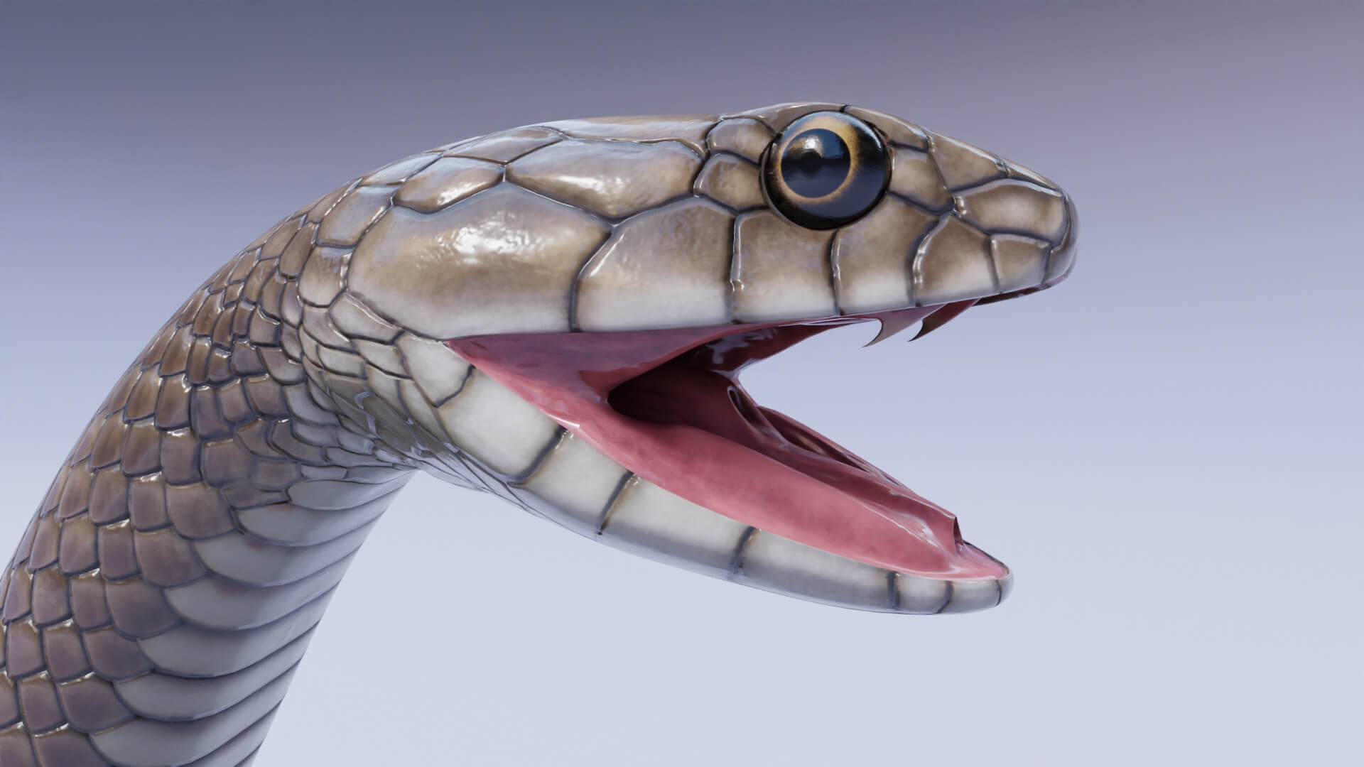 Animated Eastern Brown Snake - 3D Model by Dibia Digital