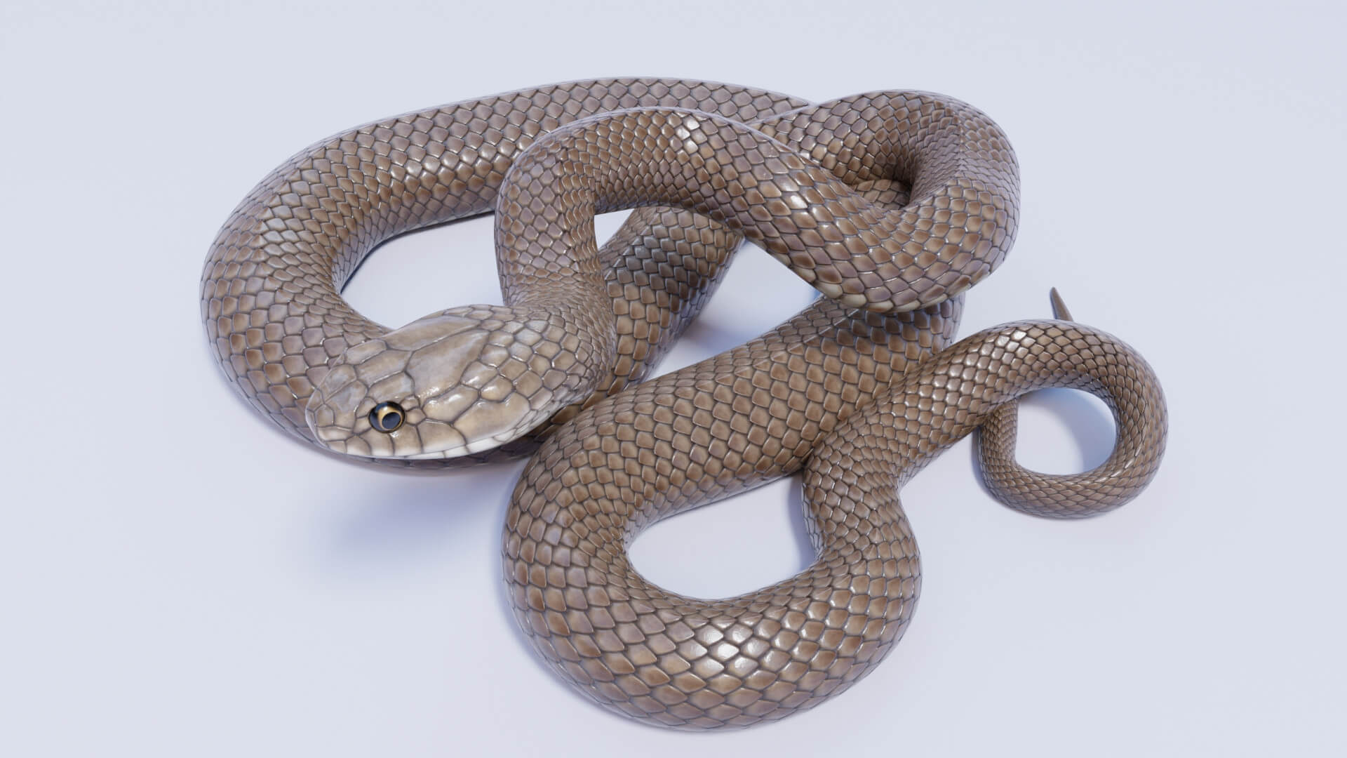 Animated Eastern Brown Snake - 3D Model by Dibia Digital