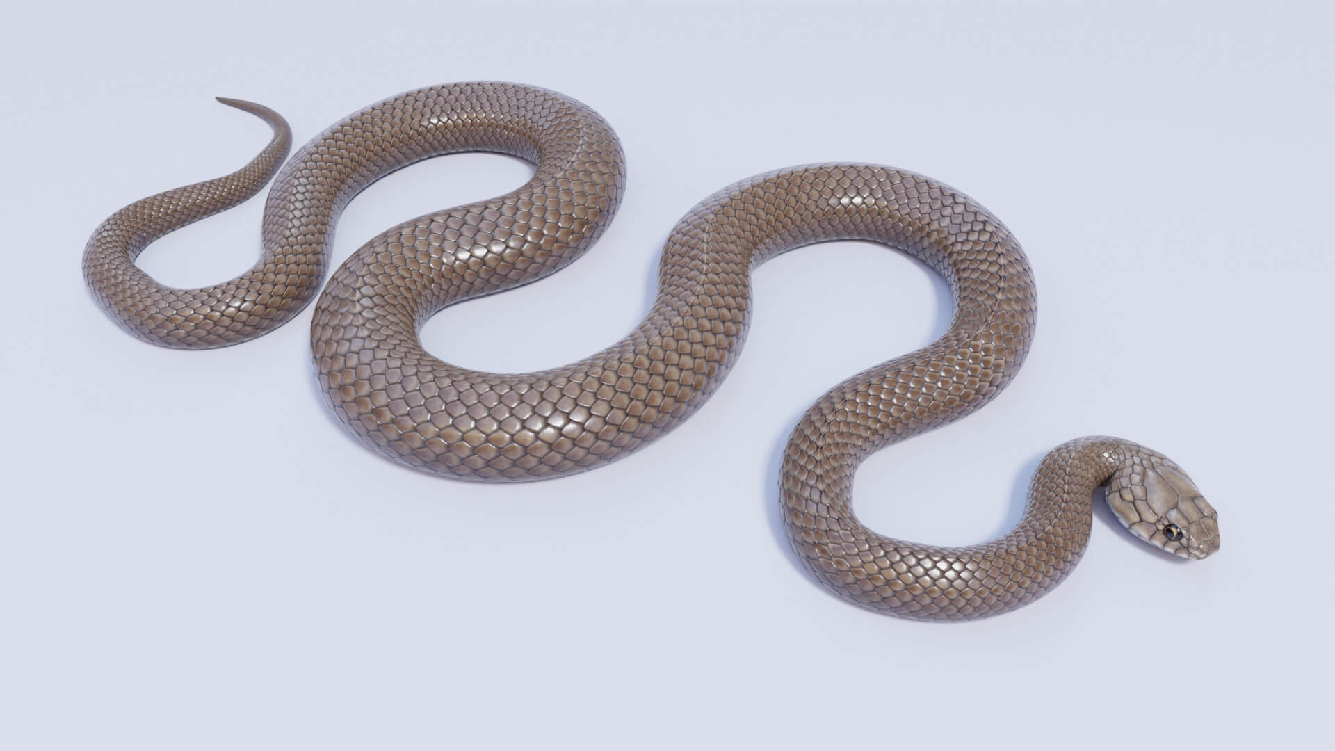 Animated Eastern Brown Snake - 3D Model by Dibia Digital