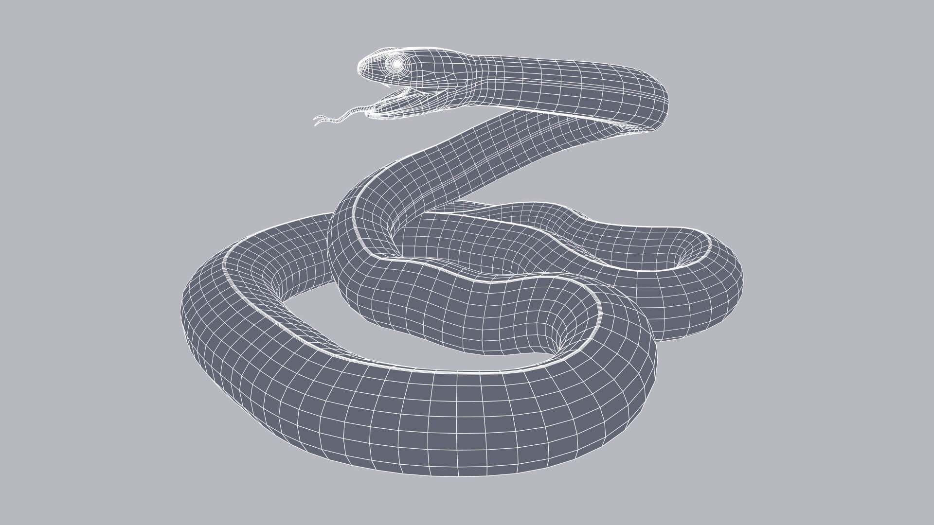 Animated Eastern Brown Snake - 3D Model by Dibia Digital