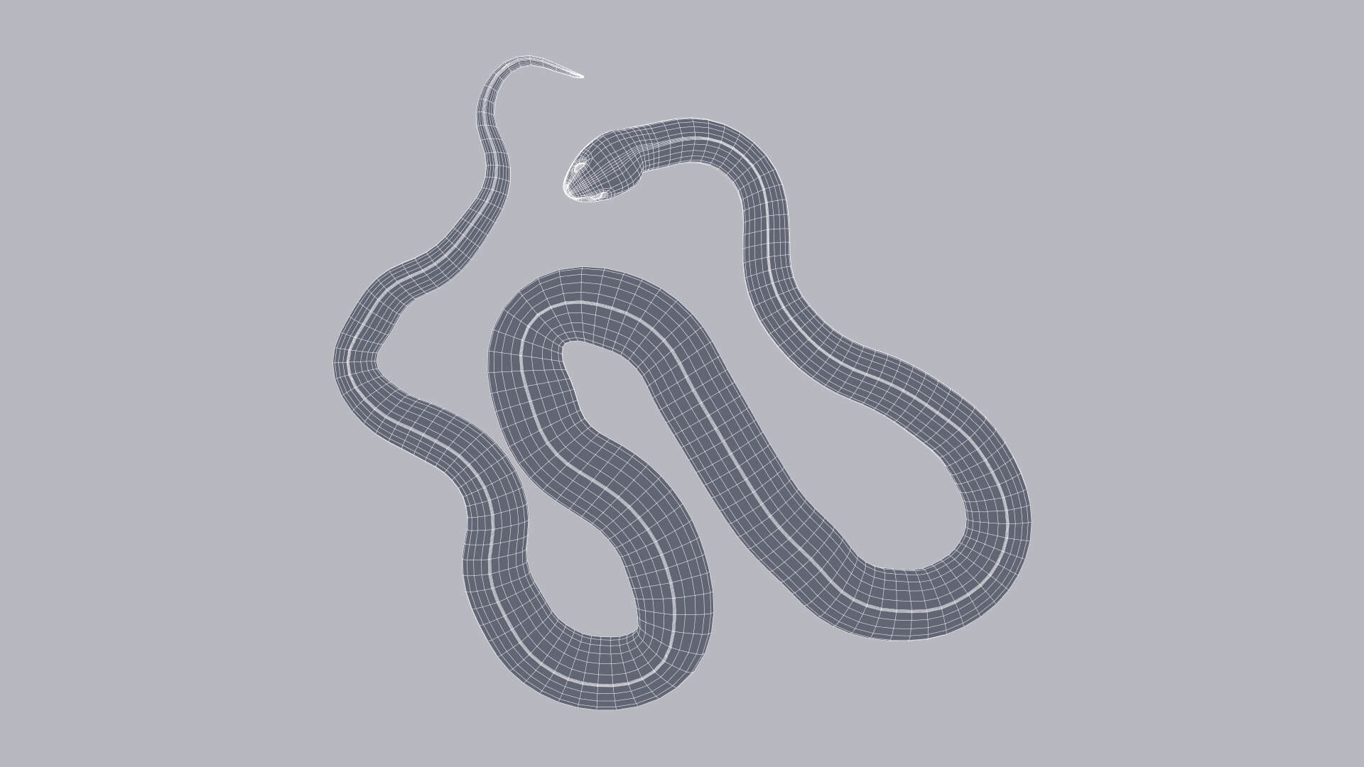 Animated Eastern Brown Snake - 3D Model by Dibia Digital