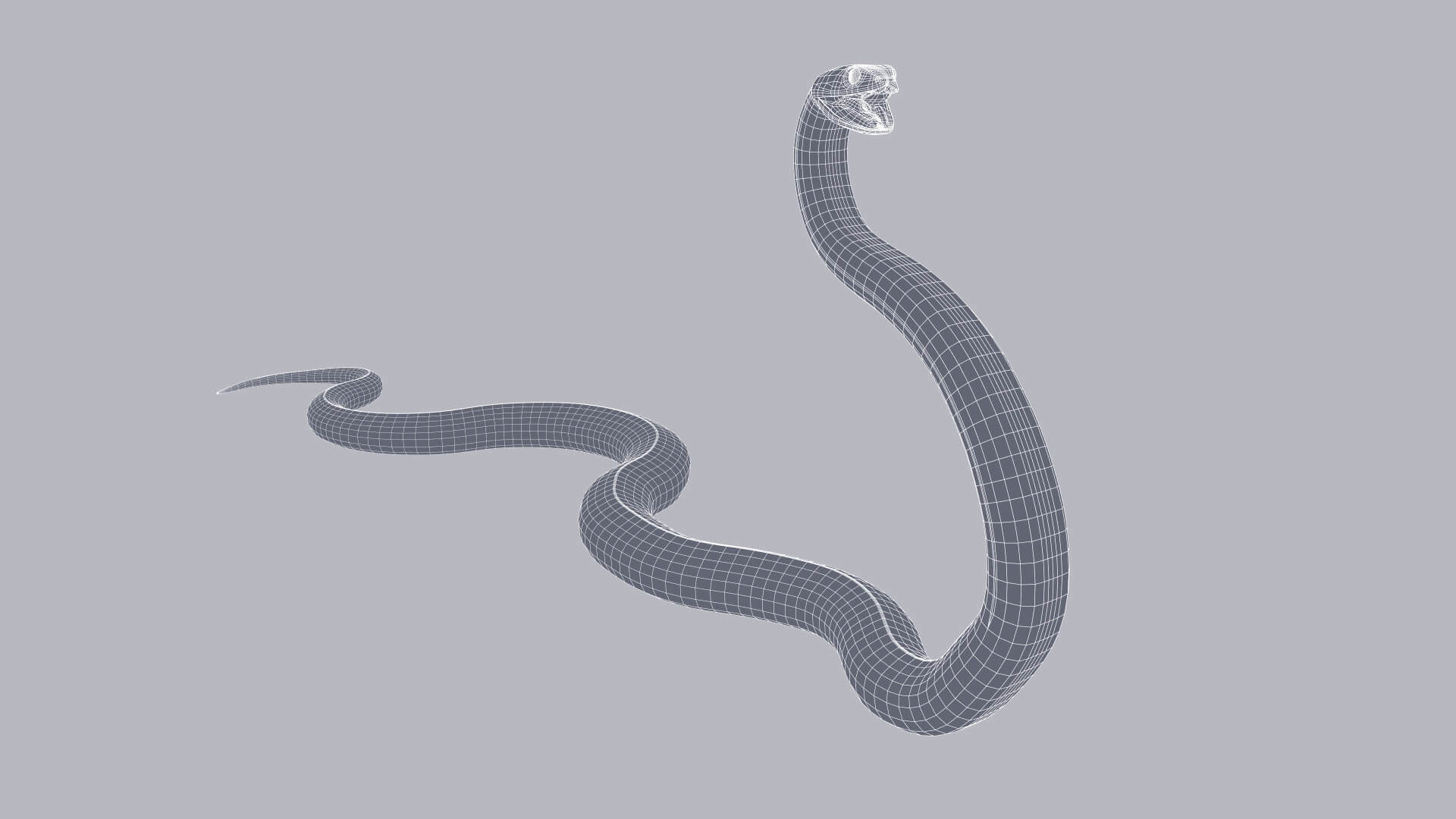 Animated Eastern Brown Snake - 3D Model by Dibia Digital