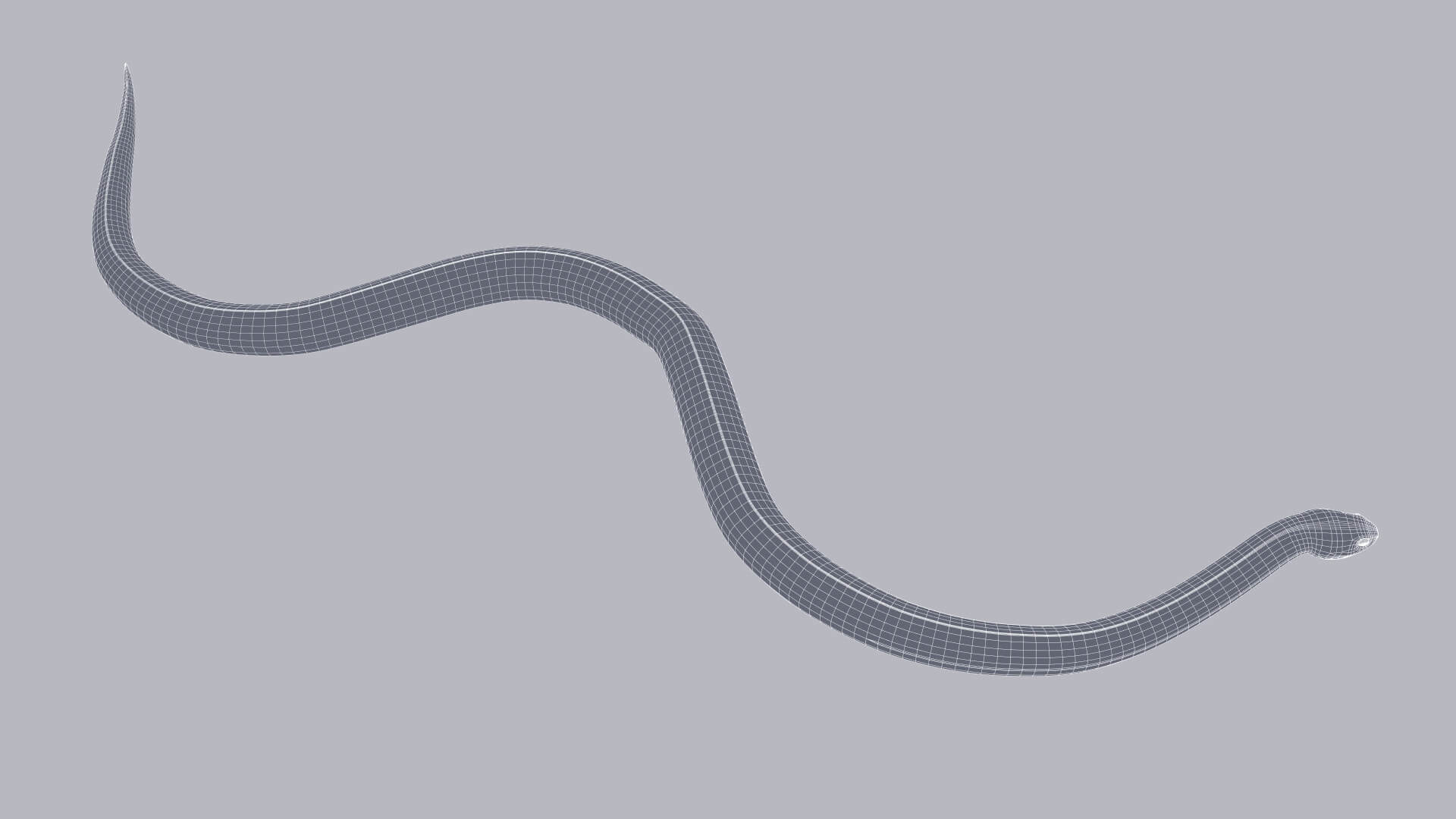 Animated Eastern Brown Snake - 3D Model by Dibia Digital