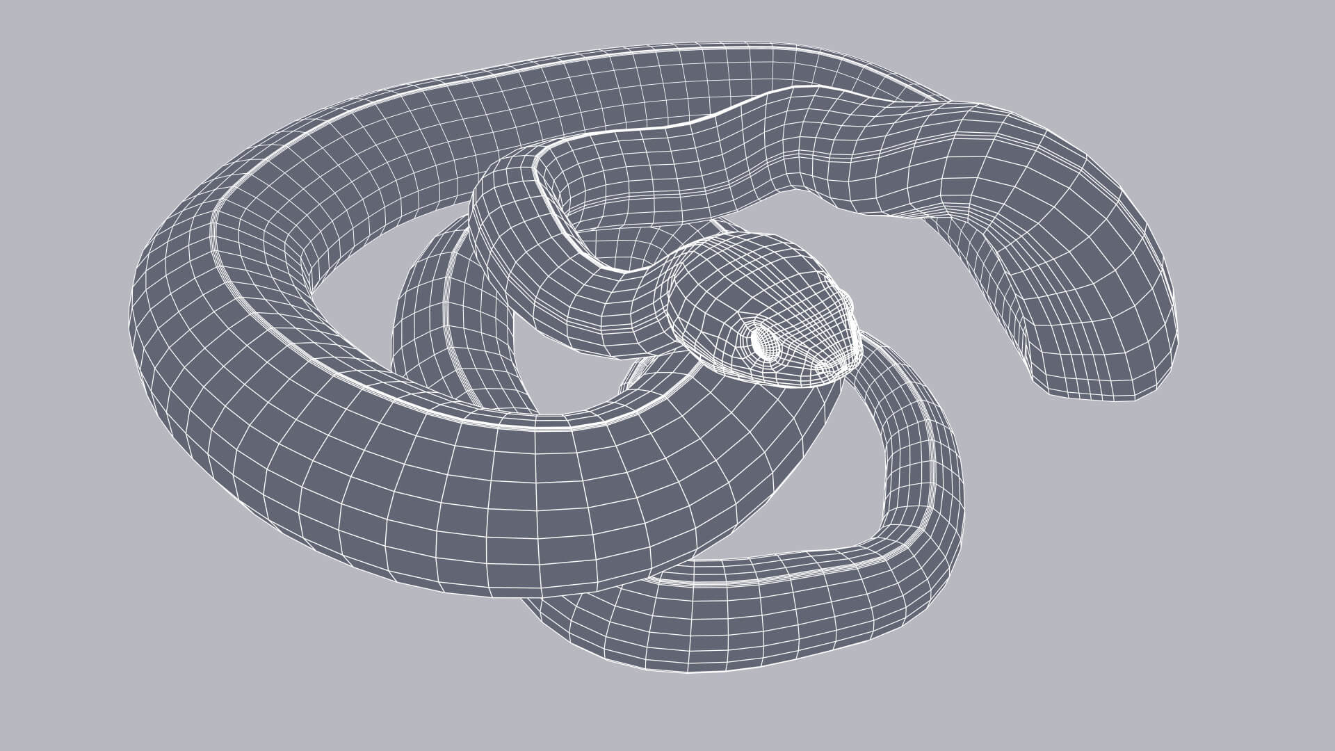 Animated Eastern Brown Snake - 3D Model by Dibia Digital