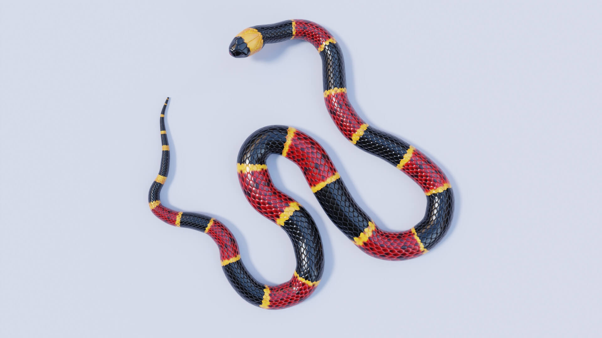 Animated Eastern Coral Snake - 3D Model by Dibia Digital