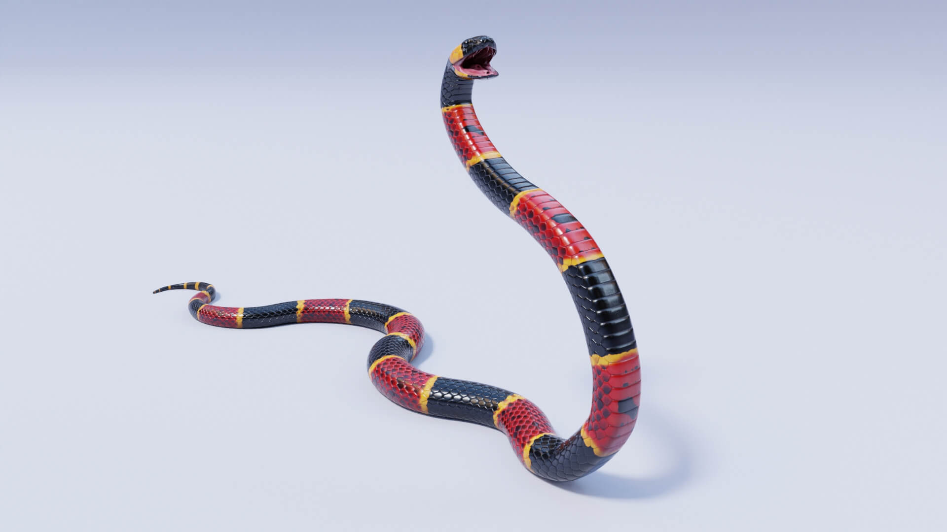 Animated Eastern Coral Snake - 3D Model by Dibia Digital