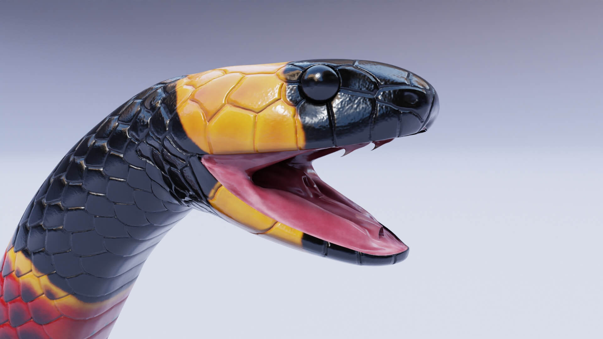 Animated Eastern Coral Snake - 3D Model by Dibia Digital