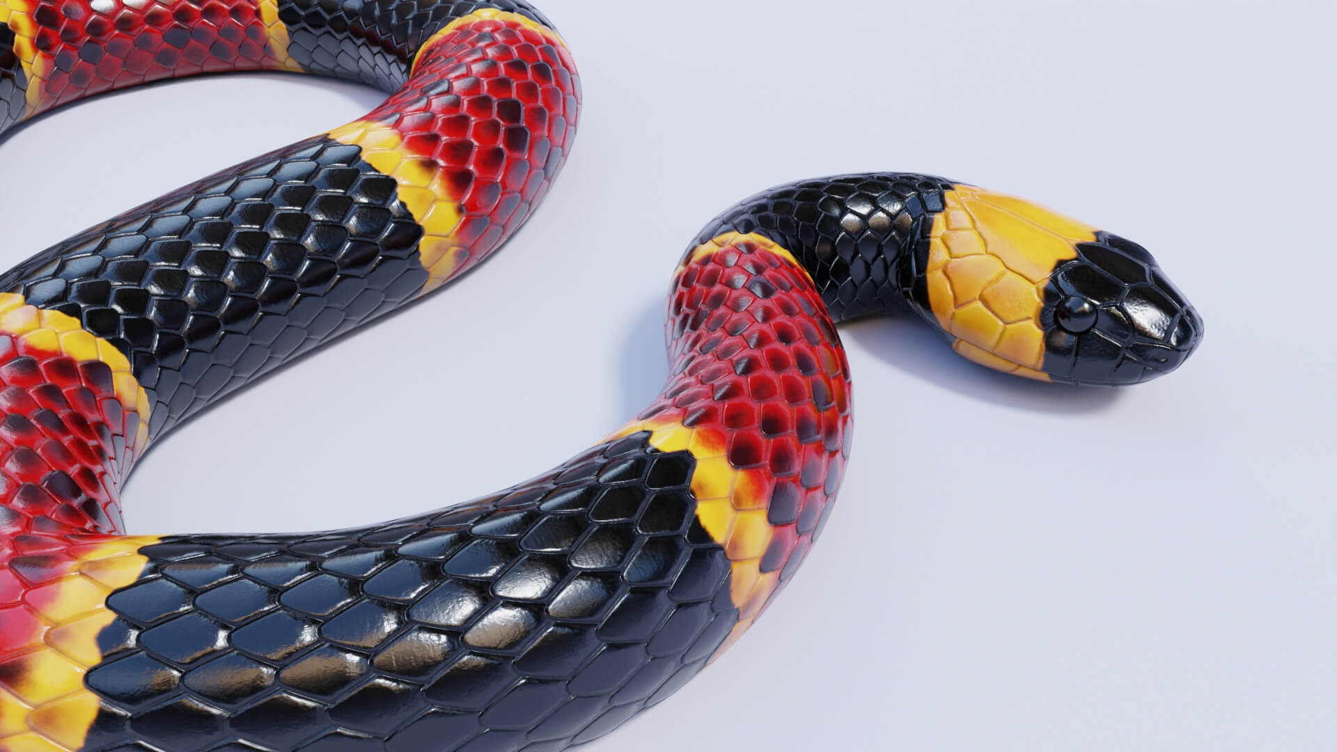 Animated Eastern Coral Snake - 3D Model by Dibia Digital