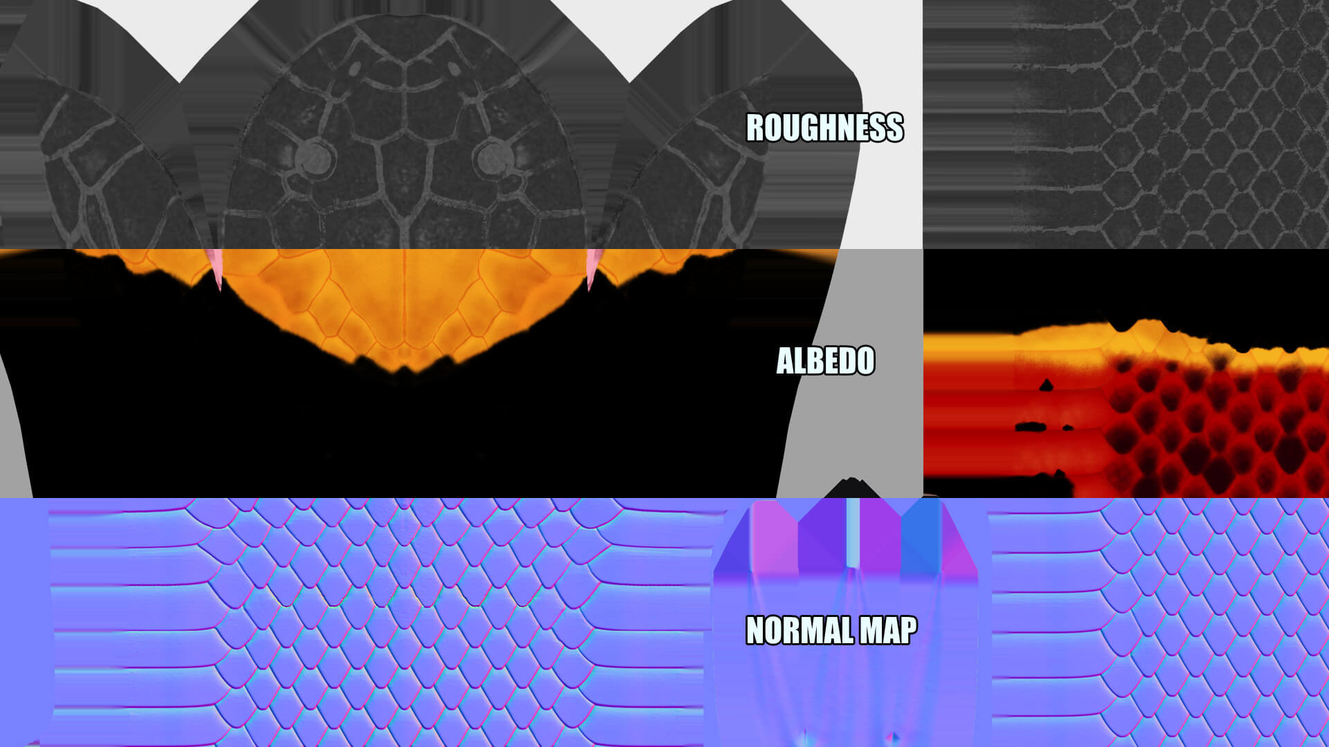 Animated Eastern Coral Snake - 3D Model by Dibia Digital