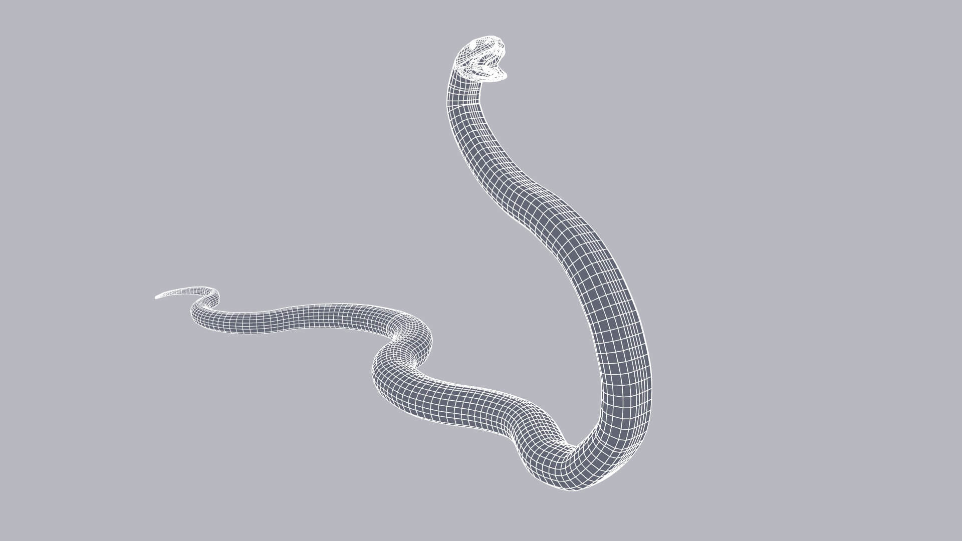Animated Eastern Coral Snake - 3D Model by Dibia Digital