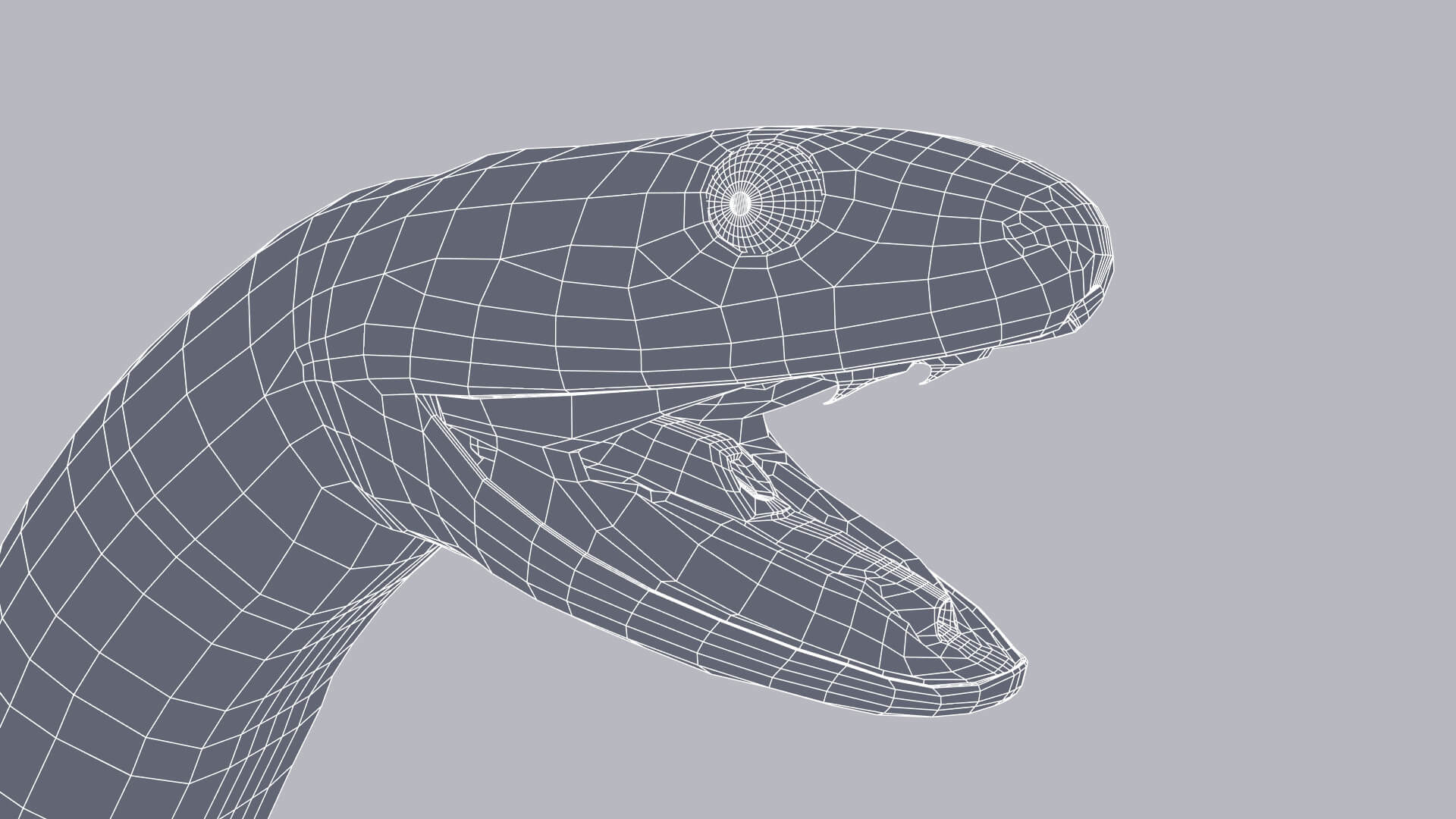 Animated Eastern Coral Snake - 3D Model by Dibia Digital