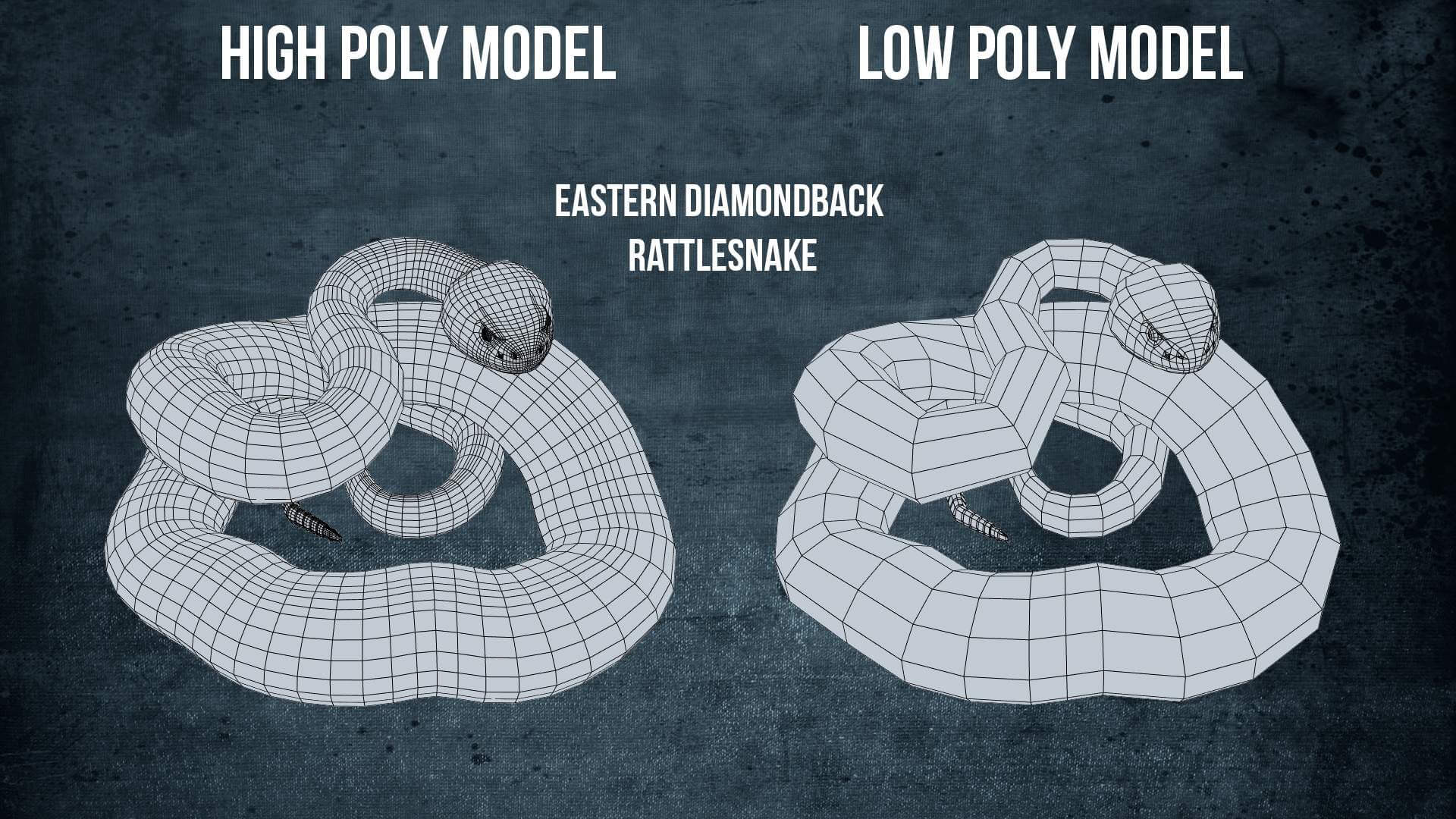 Eastern Diamondback Rattlesnake Animated - 3D Model by Dibia Digital